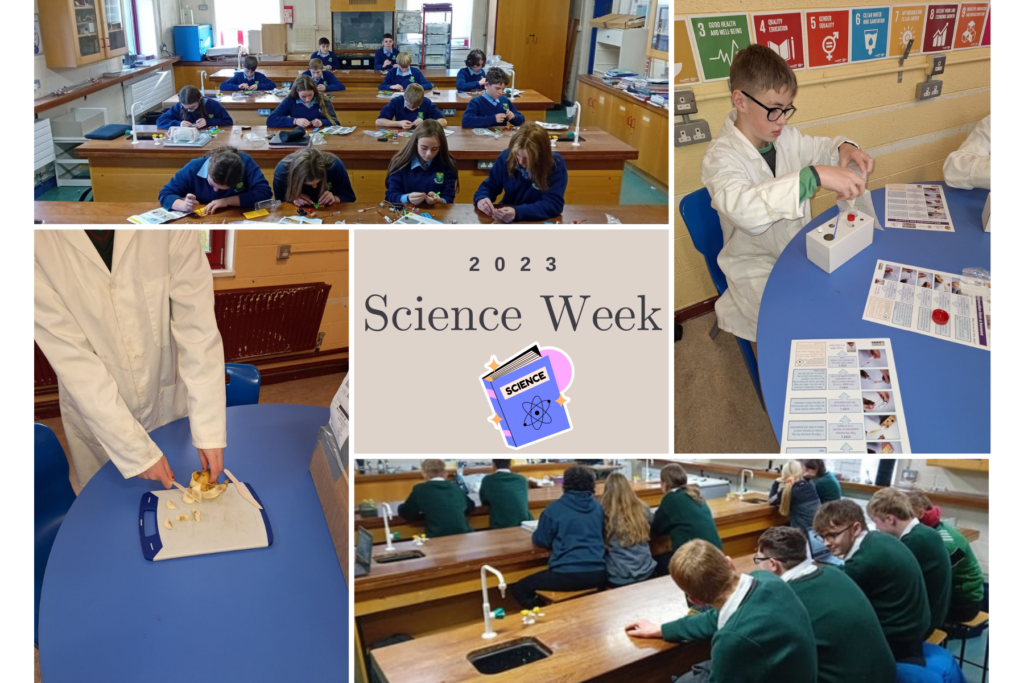 Science Week – Scoil Ruáin